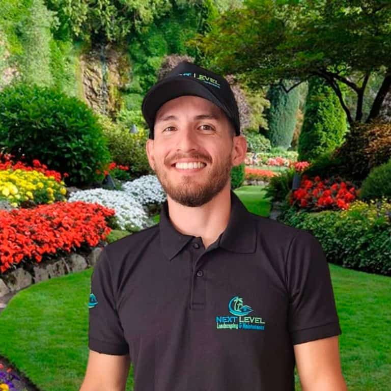Next Level Landcaping & Maintenance | Commercial Landscaping